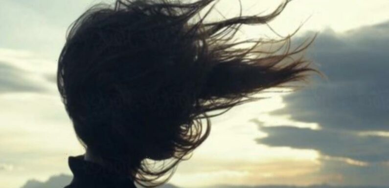 Producers David Permut And Dawn Krantz Acquire Chaya Doswell’s ...