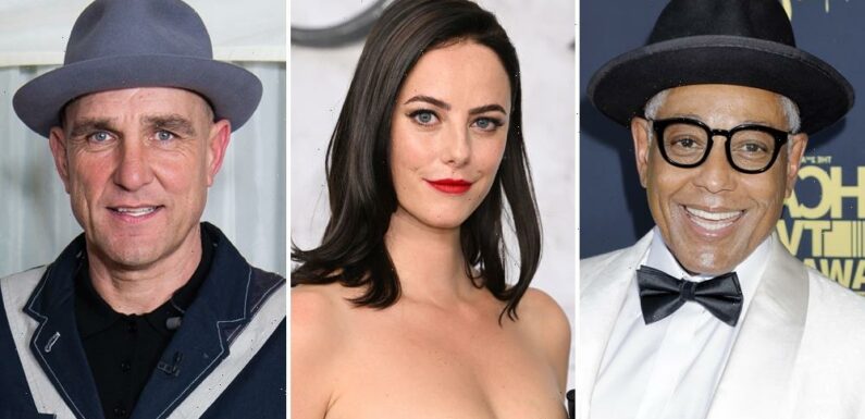 Guy Ritchie’s ‘The Gentlemen’ Netflix Series Sets Main Cast, Including ...