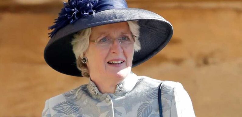 Who is Princess Diana’s sister Lady Jane Fellowes? – The Sun | The Sun ...