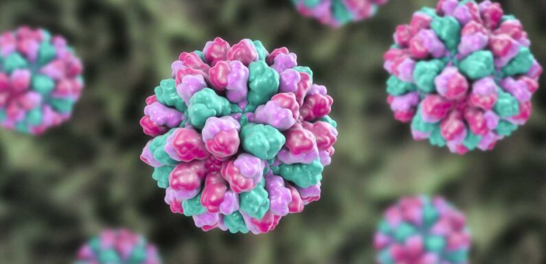 Cases of ‘vile’ projectile vomiting bug that leaves sufferers ‘curled ...